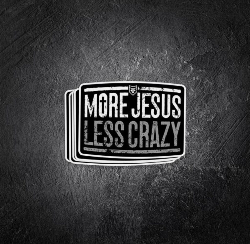 More Jesus Less Crazy Vinyl Decal - PatchOps